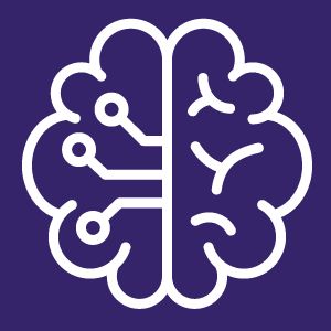 Purple – Information Technology